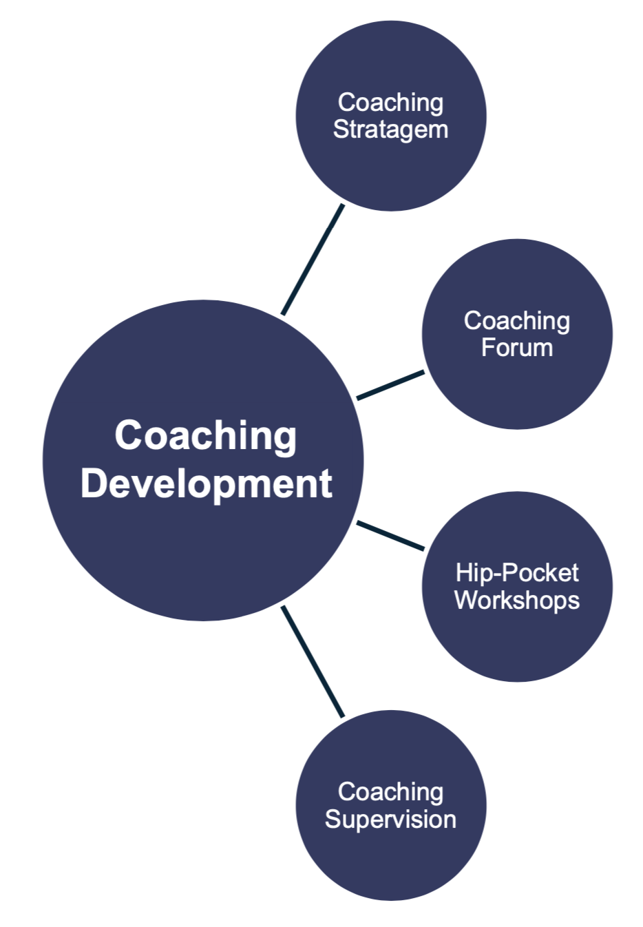 Program Lifecycle — Veterans Coaching Project